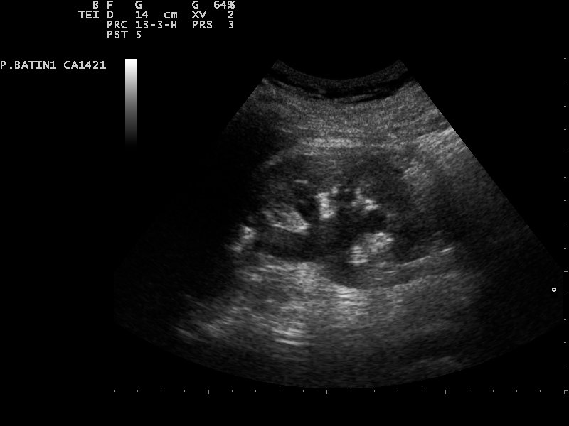 Urologische Diagnostik - Medi Know