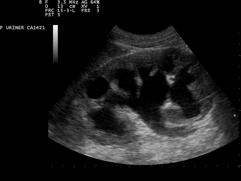 Urologische Diagnostik - Medi Know